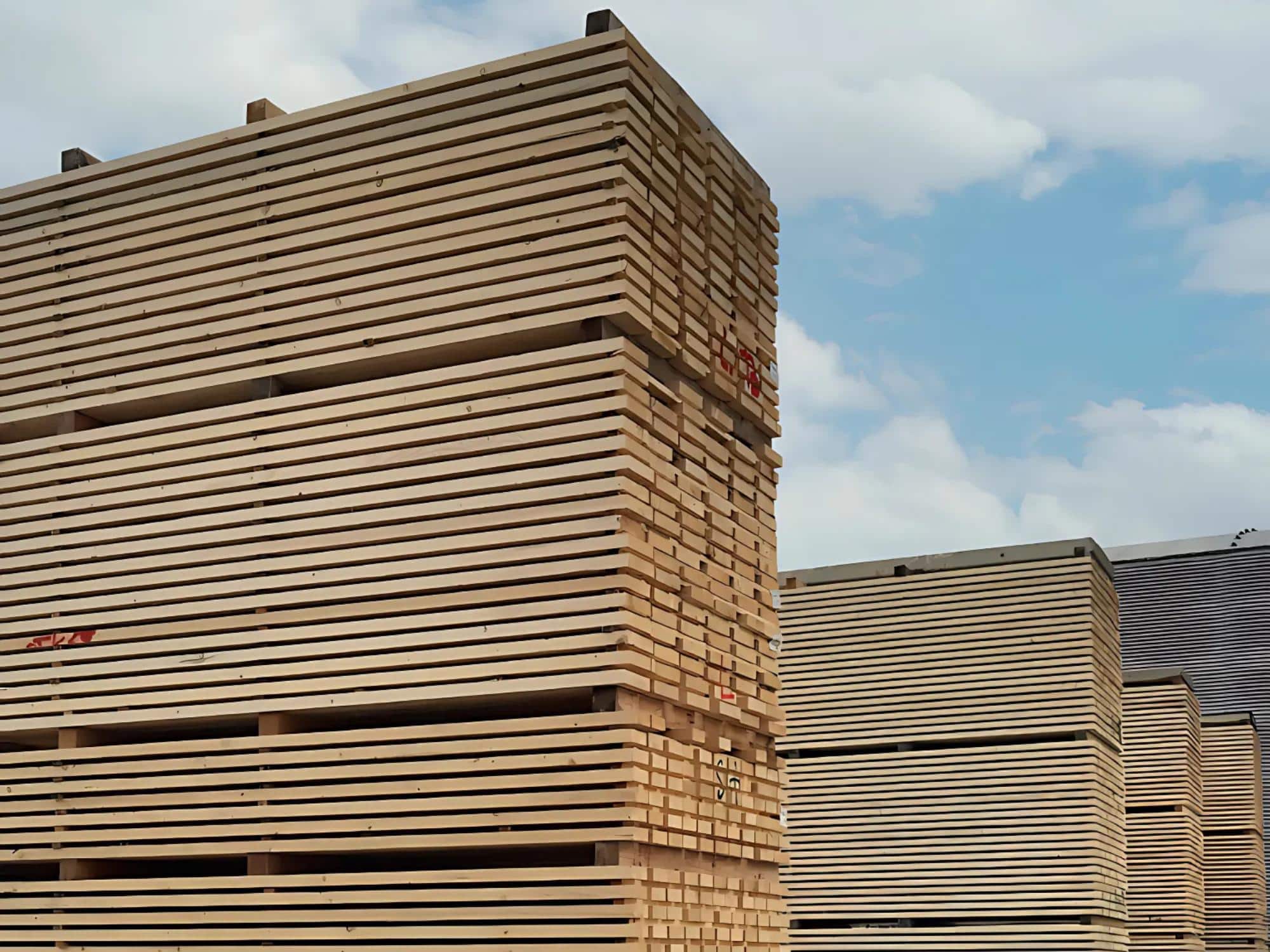 Is timber our saviour? - PRF