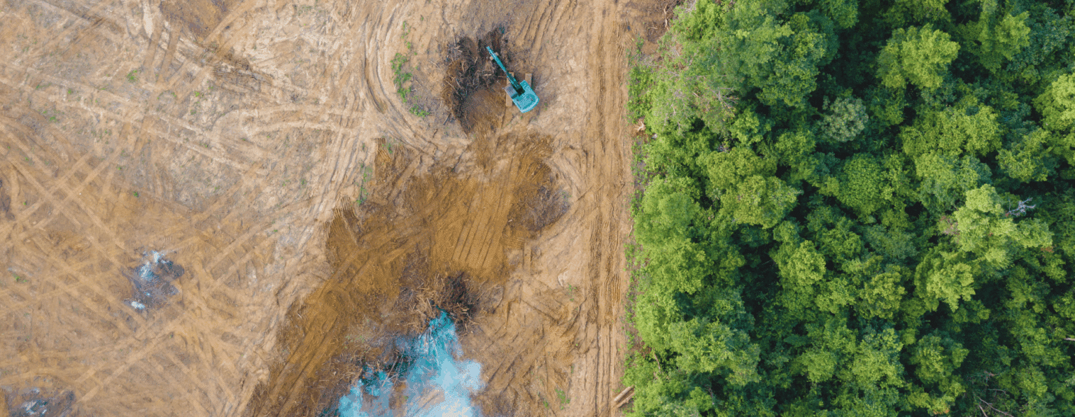 Costa Rica: A Model for Sustainable Development - PRF