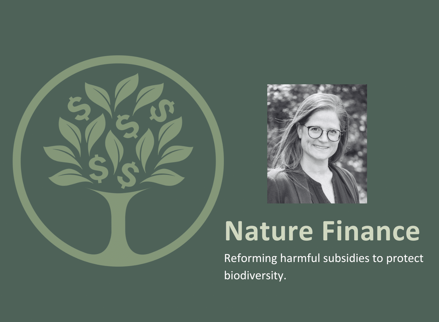 Reforming Harmful Subsidies to Protect Biodiversity - PRF